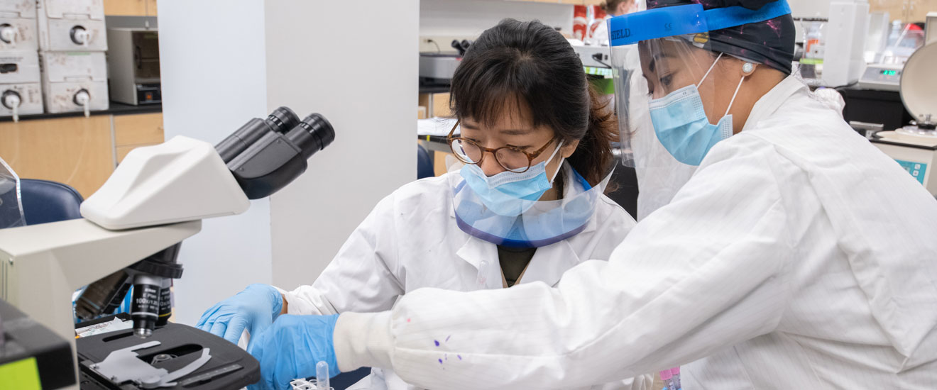 Medical Laboratory Technology | Northern Virginia Community College